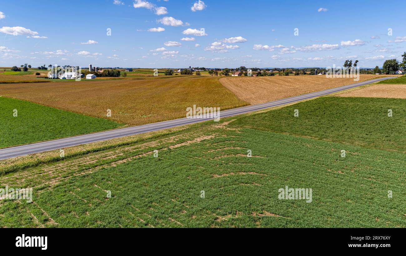 An Aerial View of a Patchwork of Fields of Crops Growing, and a Farm ...