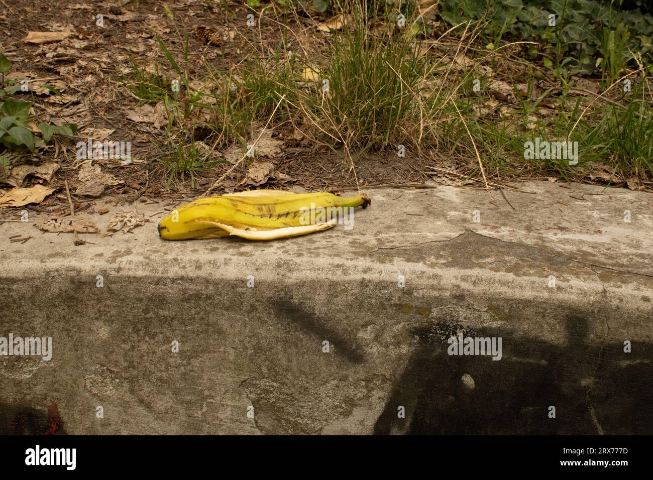 Banana peels, biodegradable waste, eco friendly, banana skin Stock ...