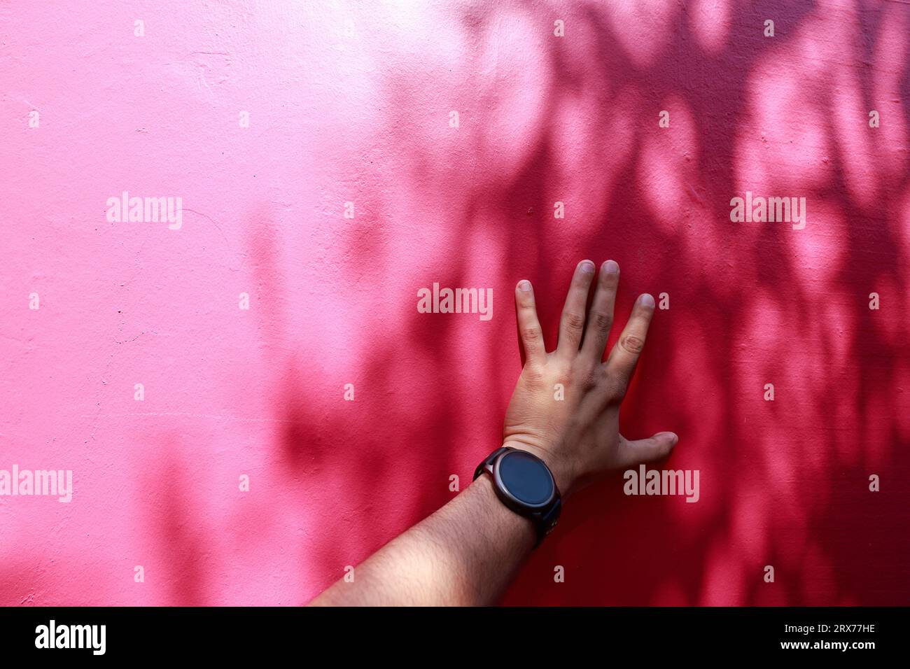 Pink street with green plants, windows, street lams, decorative ...
