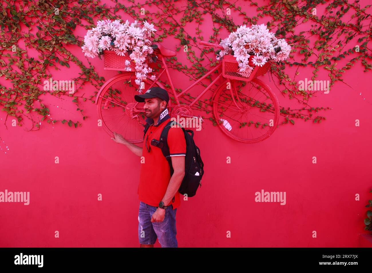 Pink street with green plants, windows, street lams, decorative ...