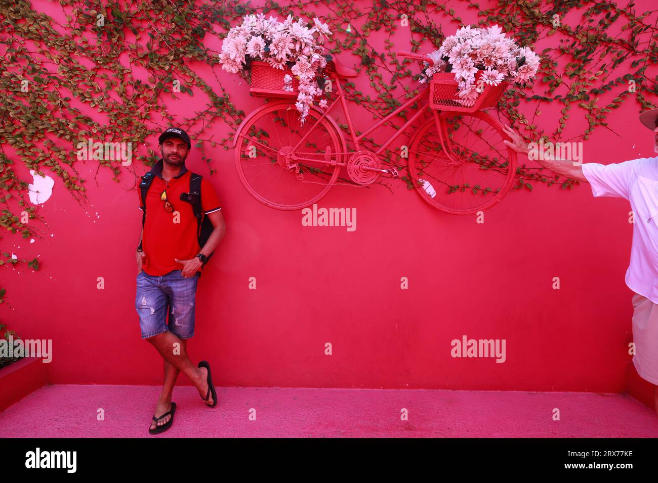 Pink street with green plants, windows, street lams, decorative ...