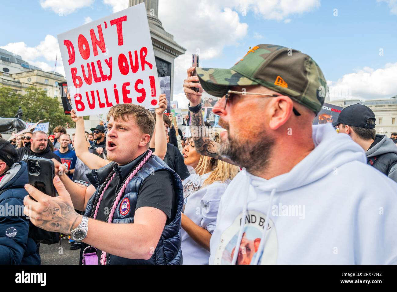 Xl bully ban announcement hi-res stock photography and images - Alamy