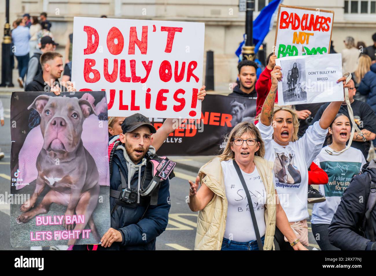 Rishi sunak xl bully hi-res stock photography and images - Alamy