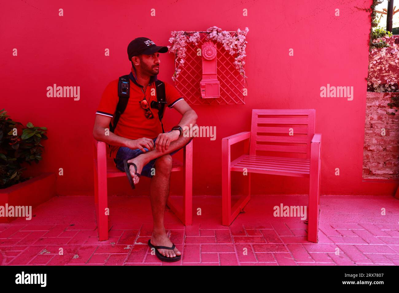Pink street with green plants, windows, street lams, decorative ...