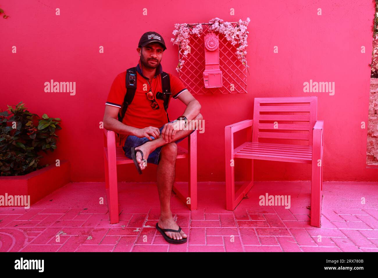 Pink street with green plants, windows, street lams, decorative ...