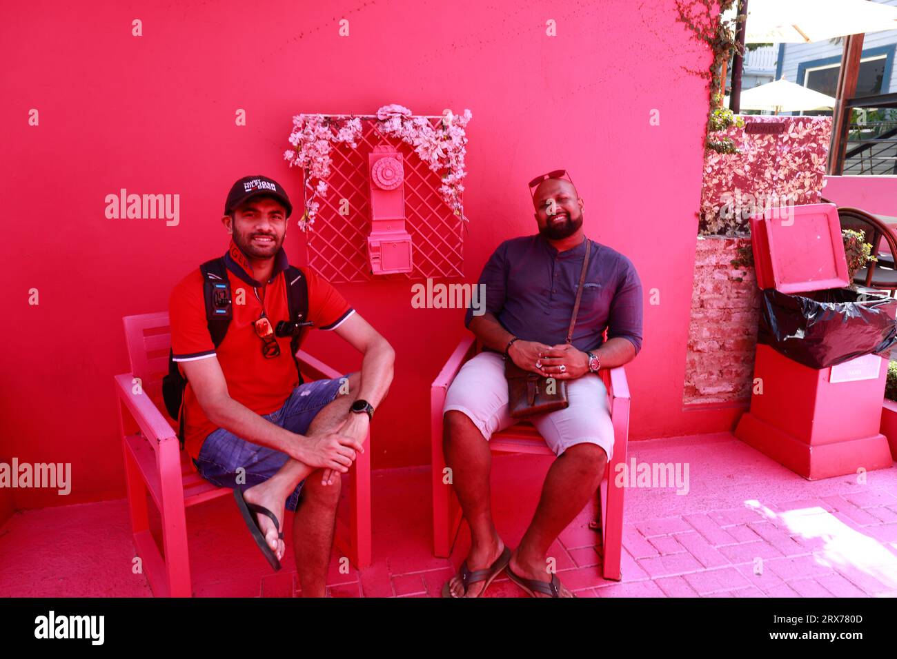 Pink street with green plants, windows, street lams, decorative ...