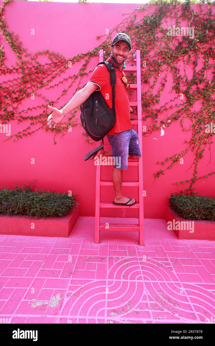 Pink street with green plants, windows, street lams, decorative ...