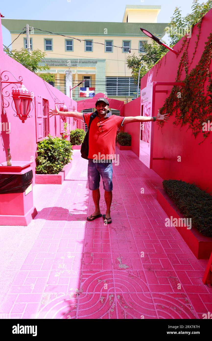 Pink street with green plants, windows, street lams, decorative ...