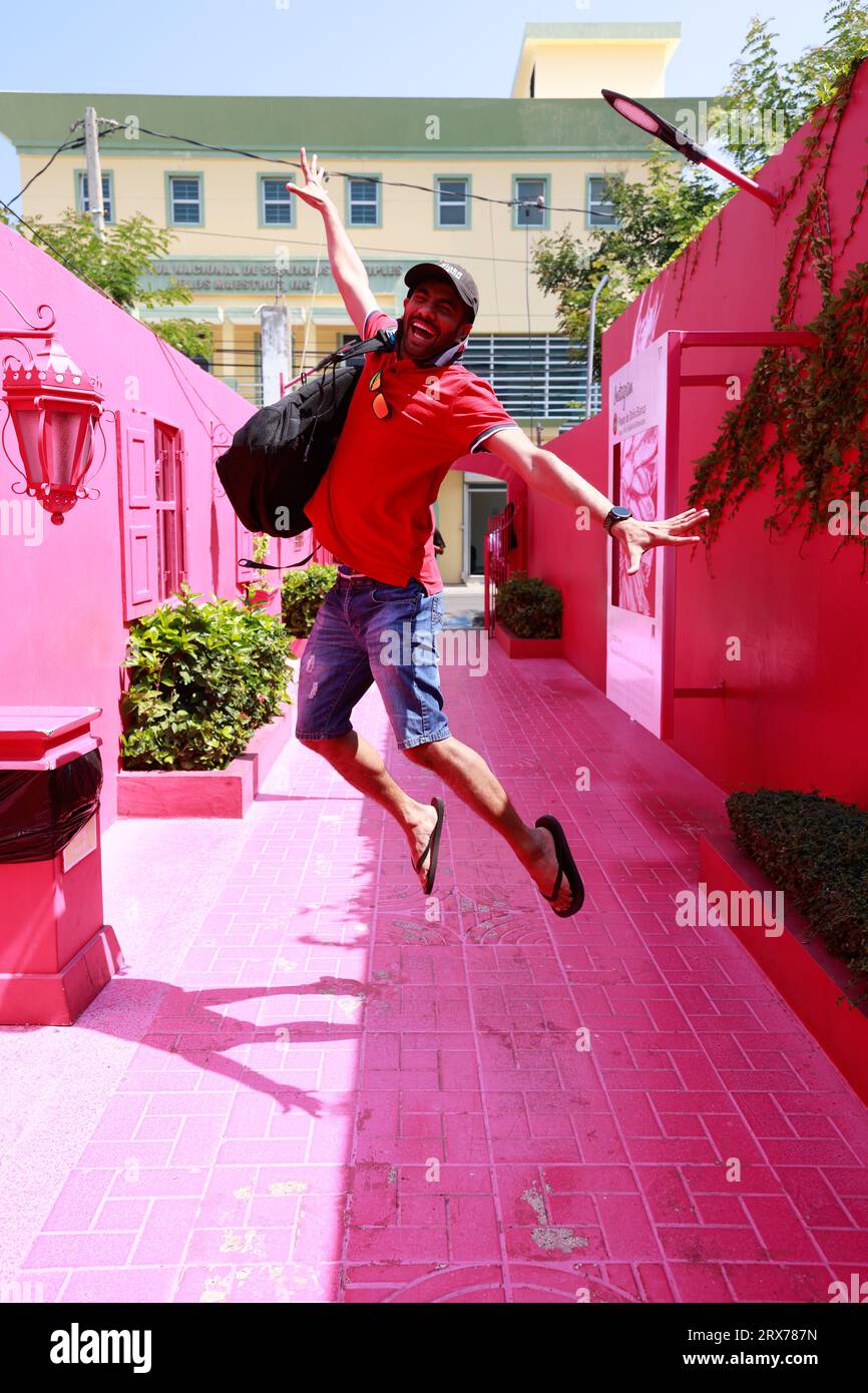 Pink street with green plants, windows, street lams, decorative ...
