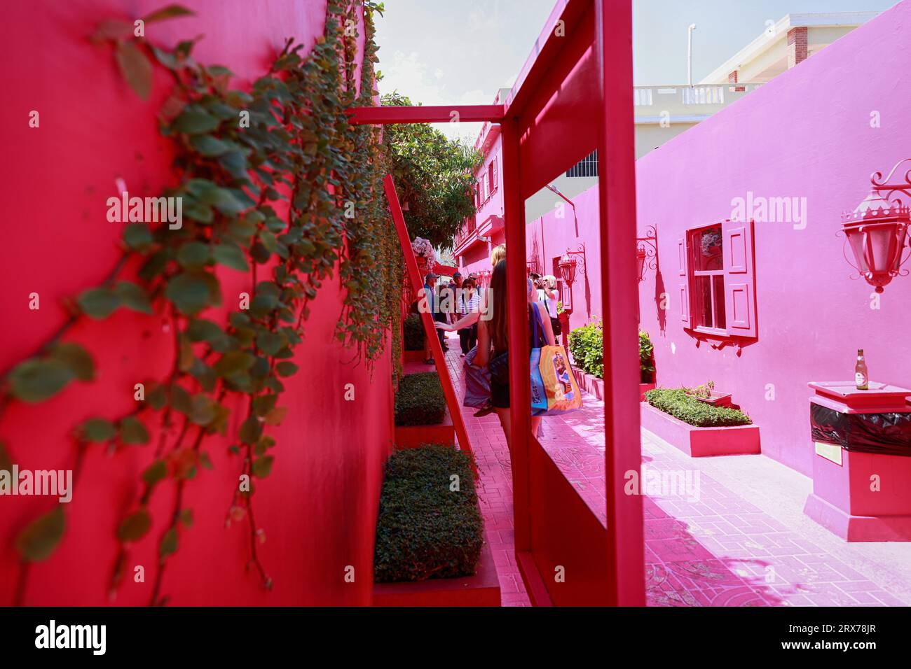 Pink street with green plants, windows, street lams, decorative ...