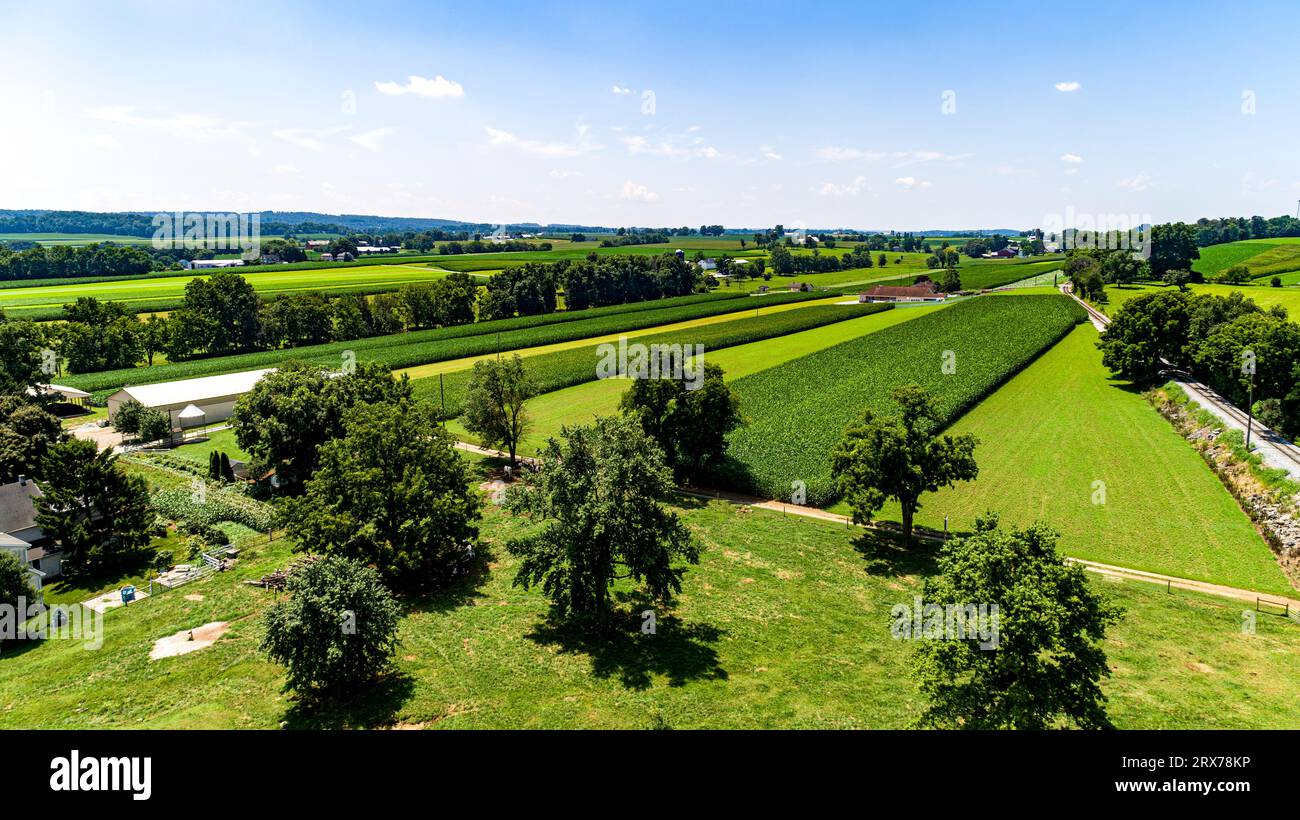 An Aerial View of Rows of Growing Corn, in Multiple Patches for Green ...