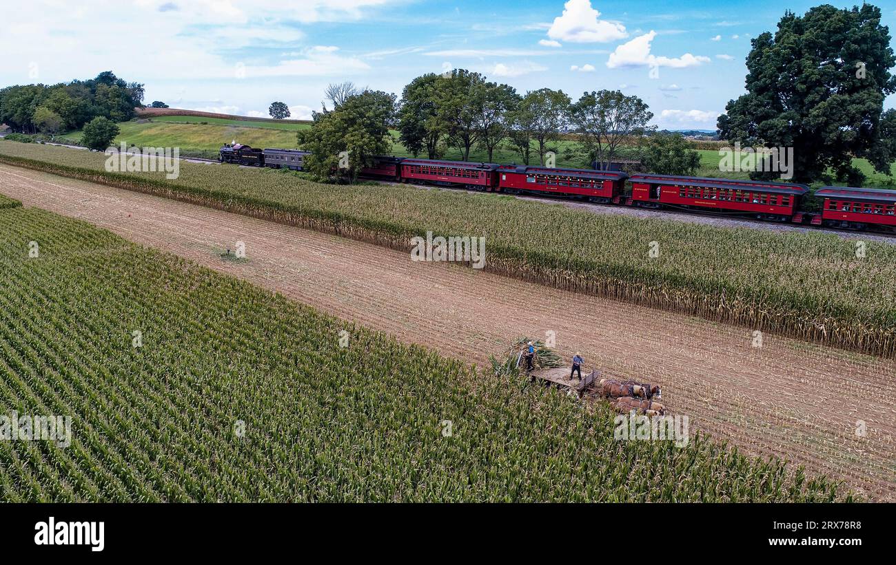 Ronks, Pennsylvania, September 11, 2021 - An Aerial View of Six Horses ...