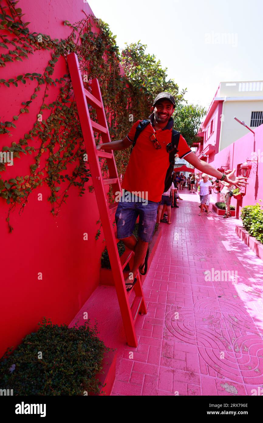 Pink street with green plants, windows, street lams, decorative ...
