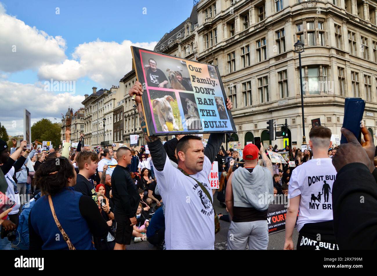 demonstration against the xl bully ban in central london whitehall ...