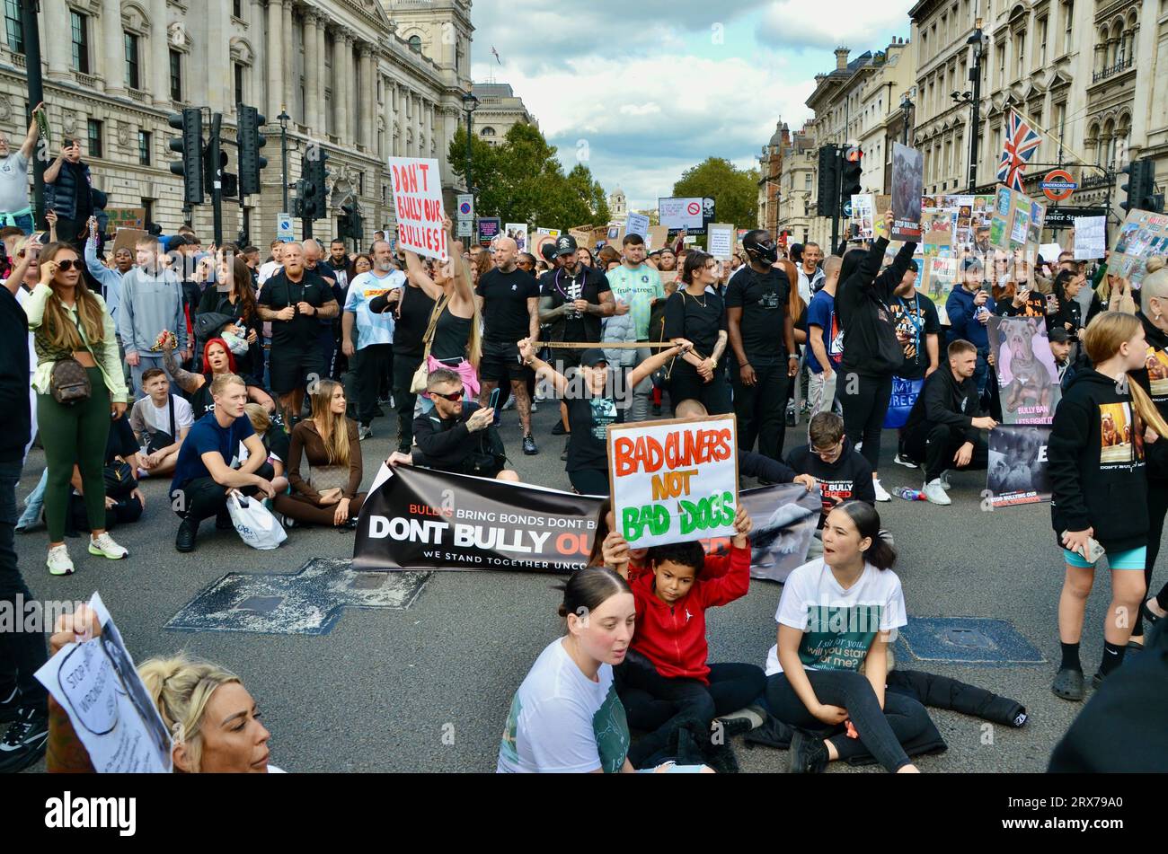 demonstration against the xl bully ban in central london whitehall ...