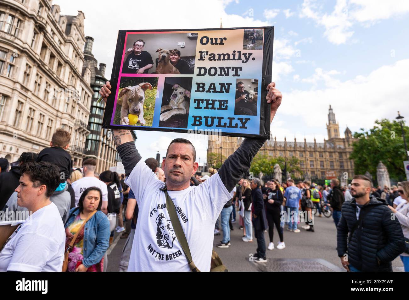 Xl bully dog hi-res stock photography and images - Alamy