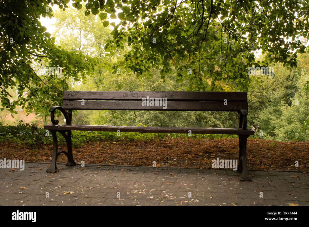 Wooden Bench for Relaxation and Rest Stock Photo - Alamy