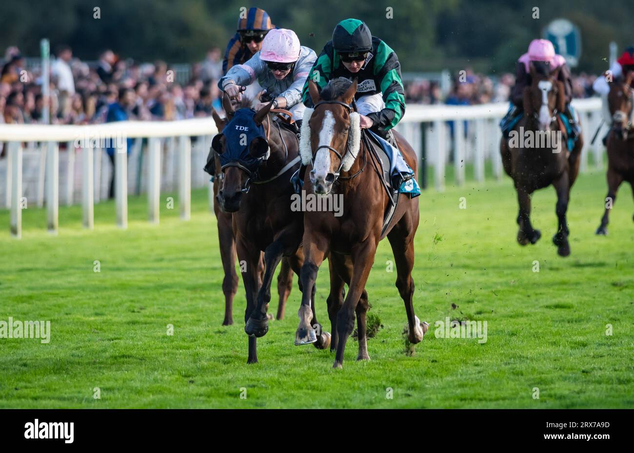 Horse racing york racecourse hi-res stock photography and images - Alamy