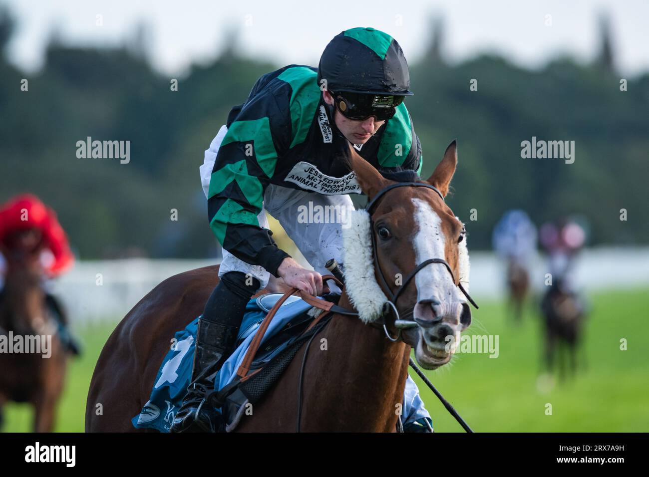 Michael wigham hi-res stock photography and images - Alamy