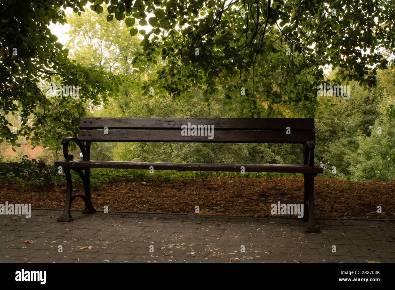 Backyardbench hi-res stock photography and images - Alamy