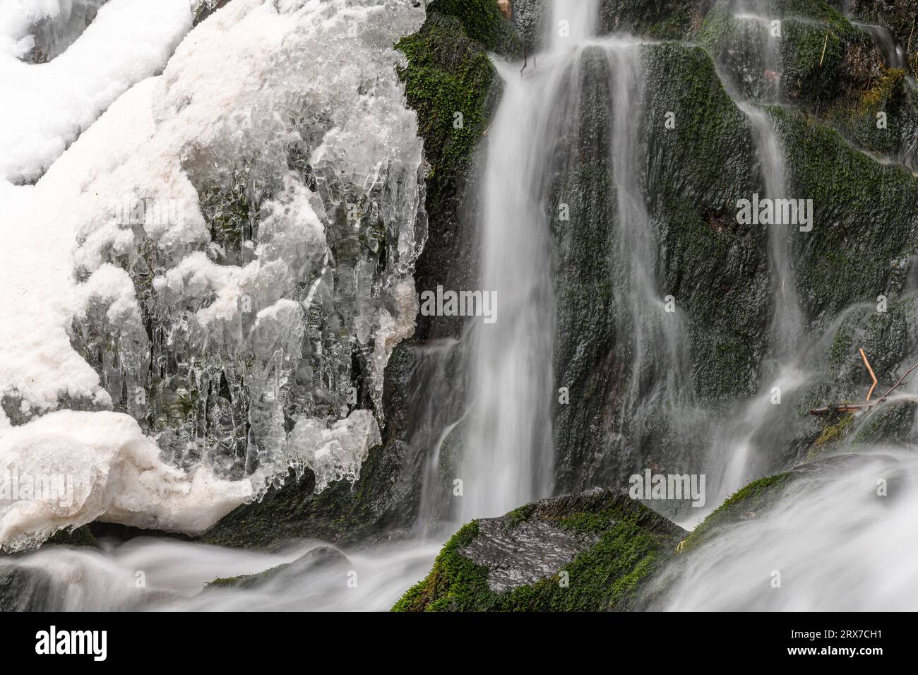 Frozen waterfall in a mountain stream in winters. Le Le Hohwald Bas ...