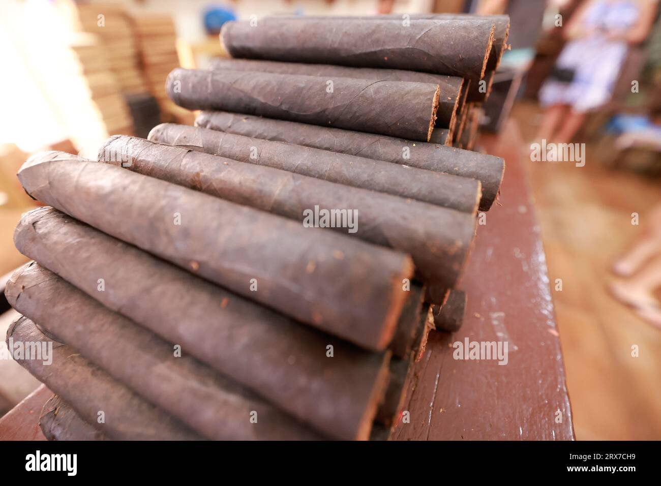 Close up of luxury hand made cigars stacked in a storage box. Tobacco ...