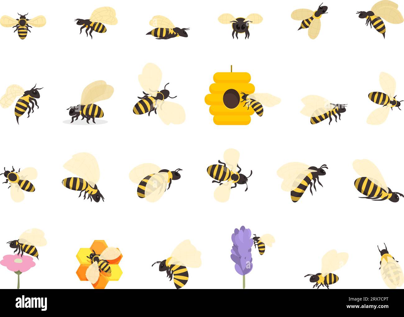 NAME icons set cartoon vector Stock Vector Image & Art - Alamy