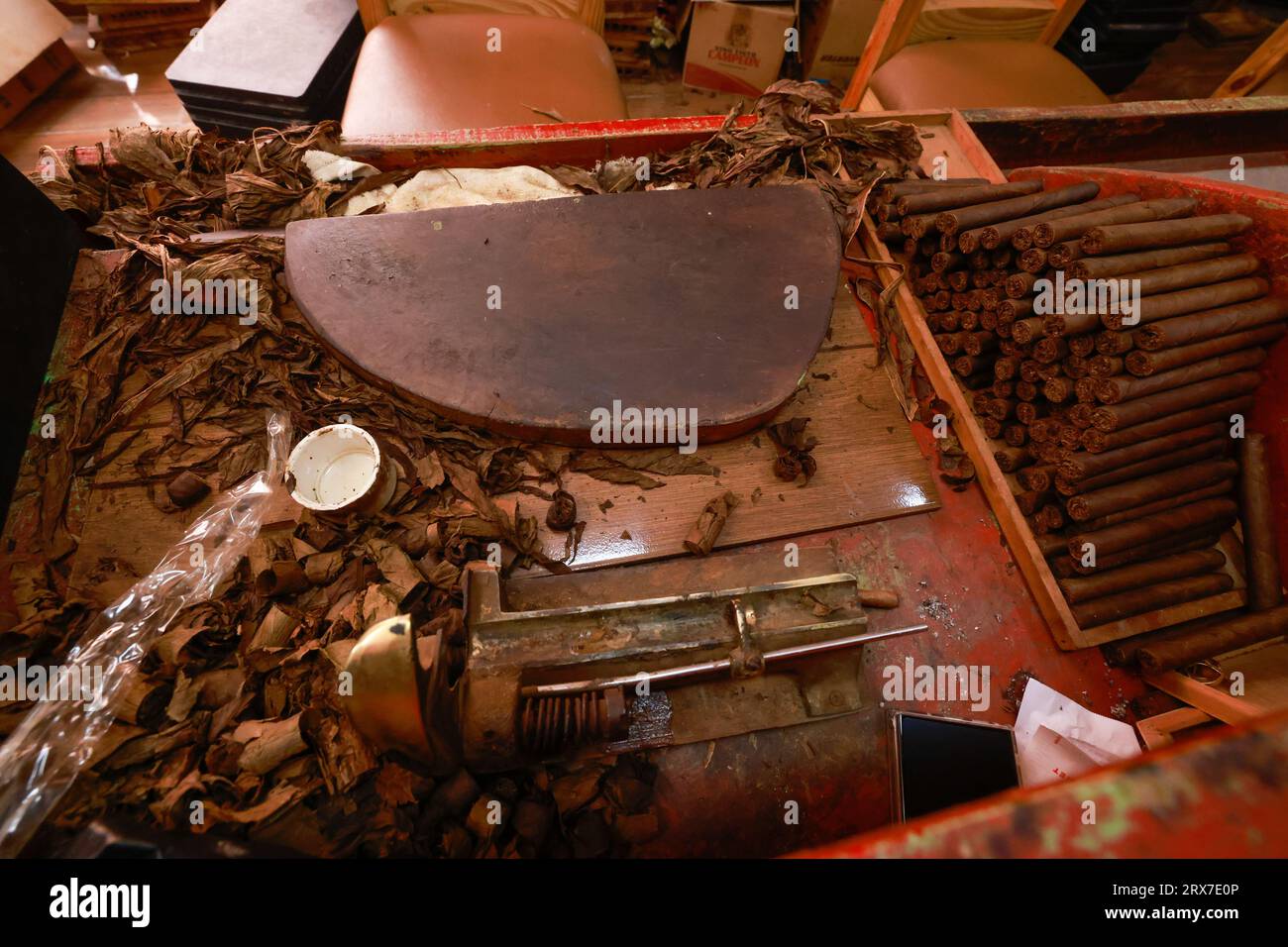Process of making traditional cigars from tobacco leaves with hands ...