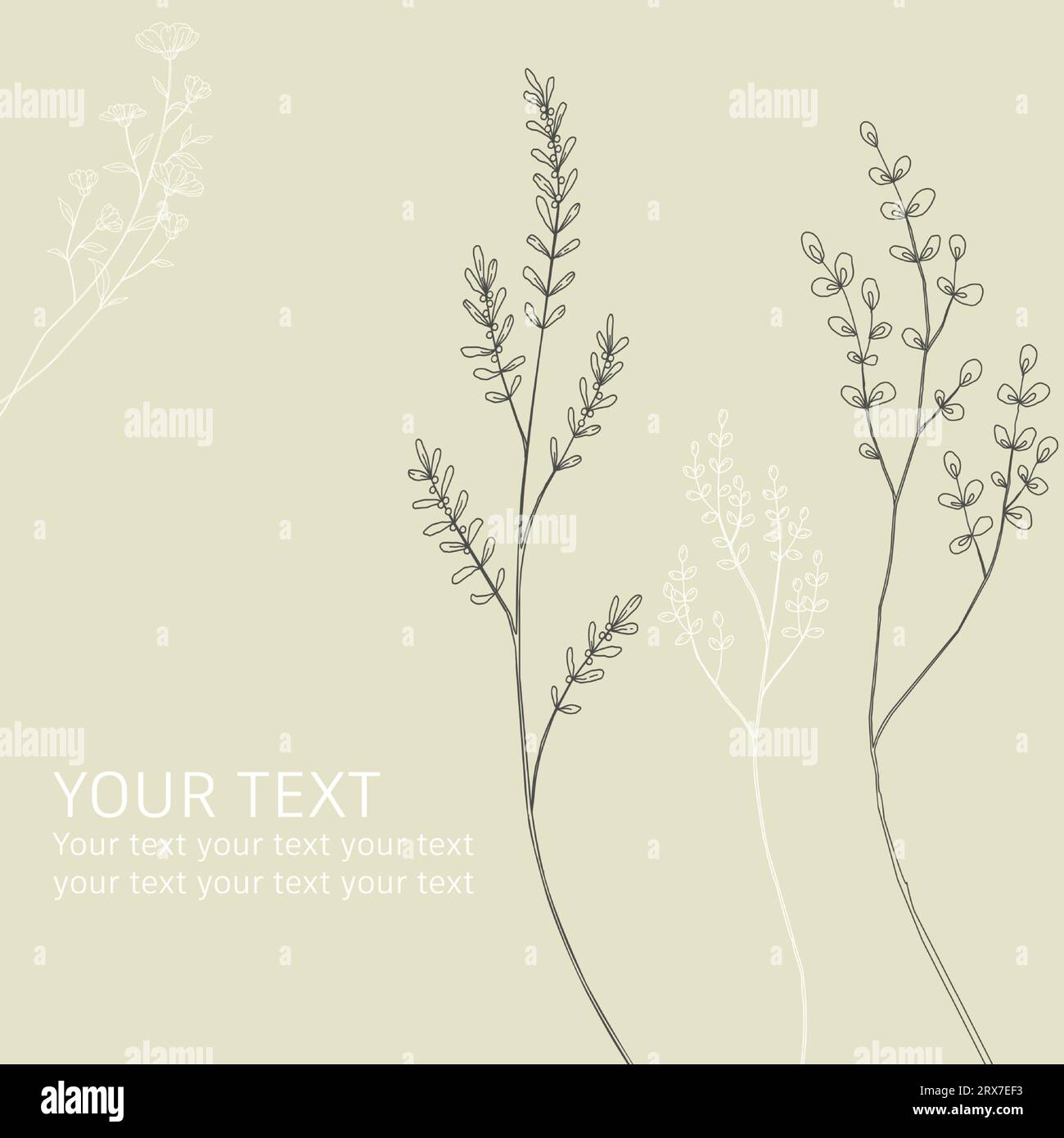 Botanical card. Hand drawing. Minimal plant logo, meadow greenery, leaf ...