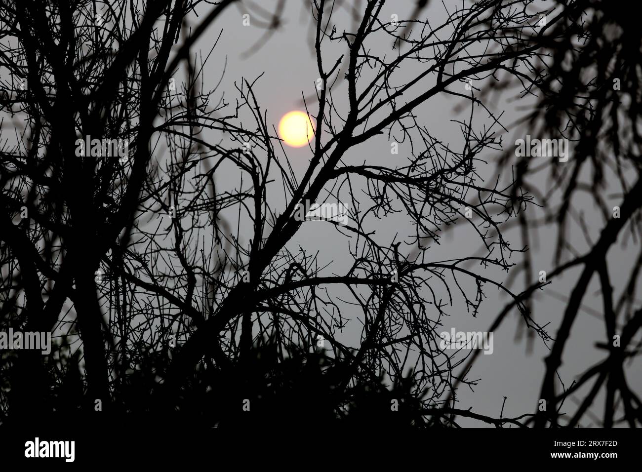 Moon long island hi-res stock photography and images - Alamy