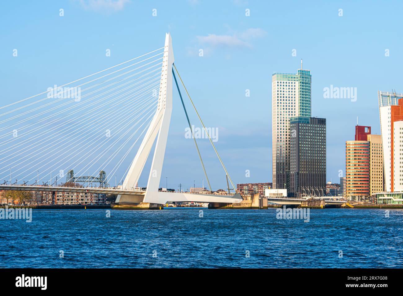 Rotterdam. Spectacular Skylines, Captivating Beauty of Rotterdam's City ...