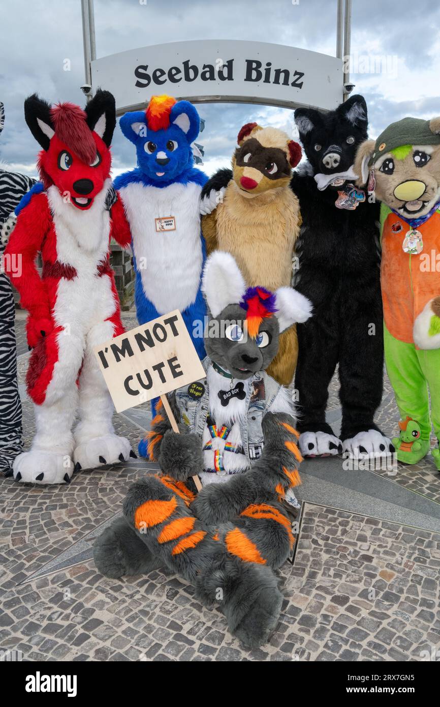 Furry treffen hi-res stock photography and images - Alamy