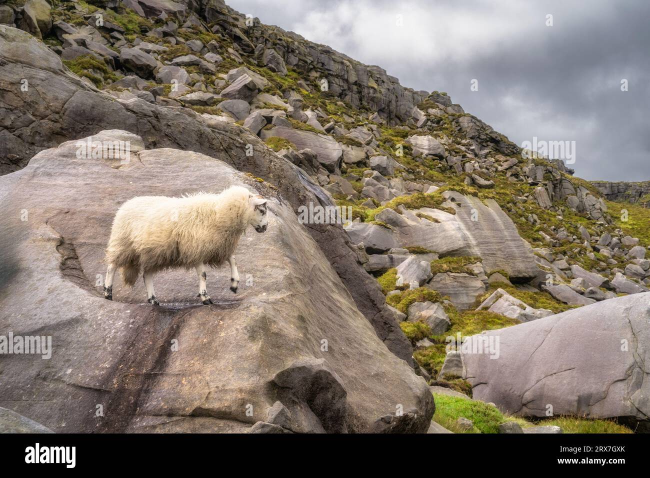 Rumble rock hi-res stock photography and images - Alamy