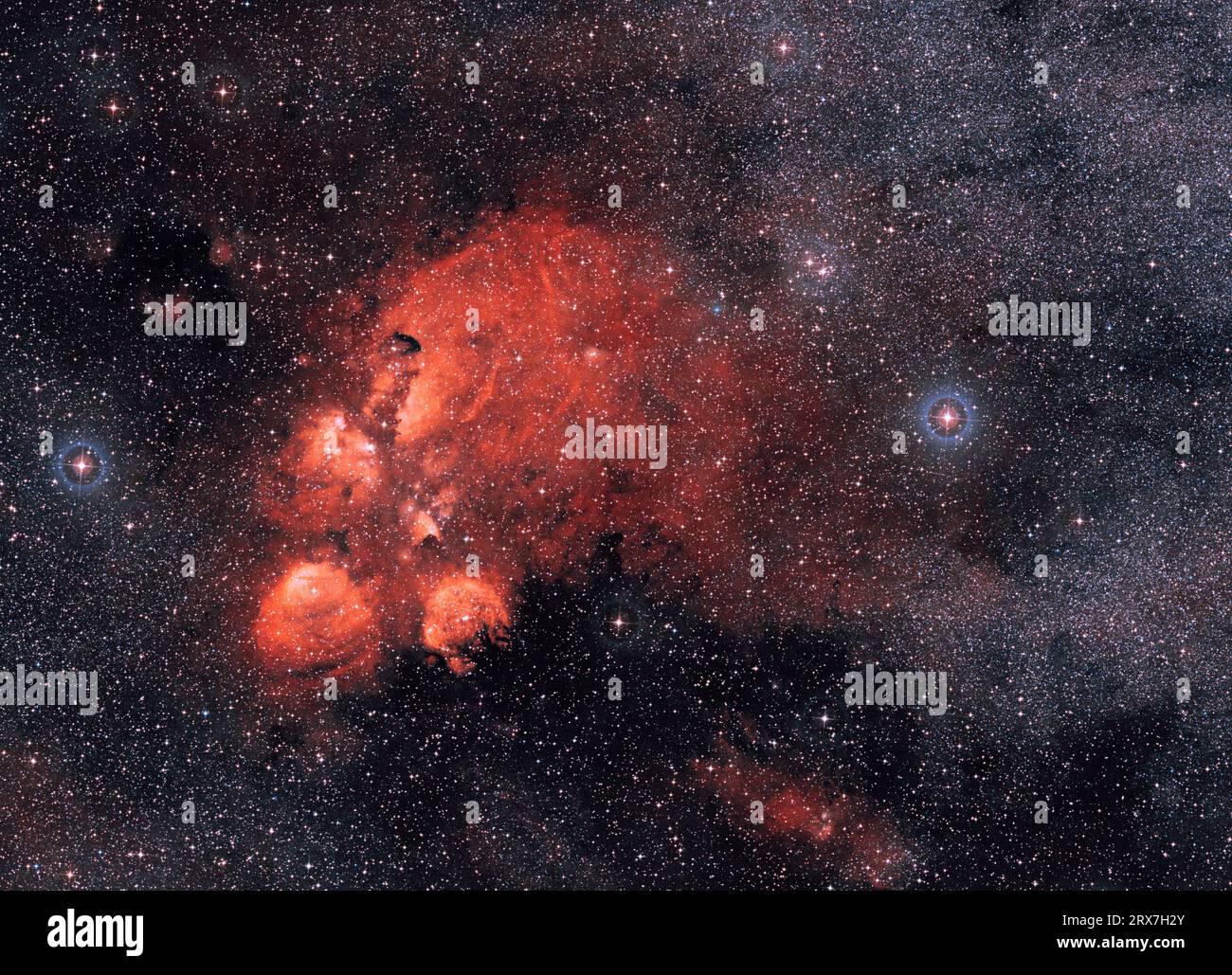 The Cat's Paw Nebula At 5,500 light years distant, Cat's Paw is an ...