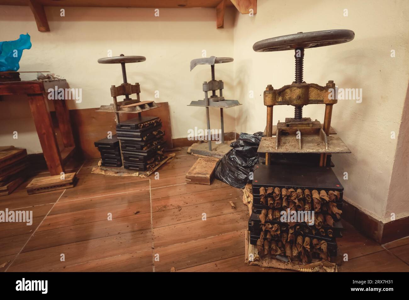 Process of making traditional cigars from tobacco leaves with hands ...