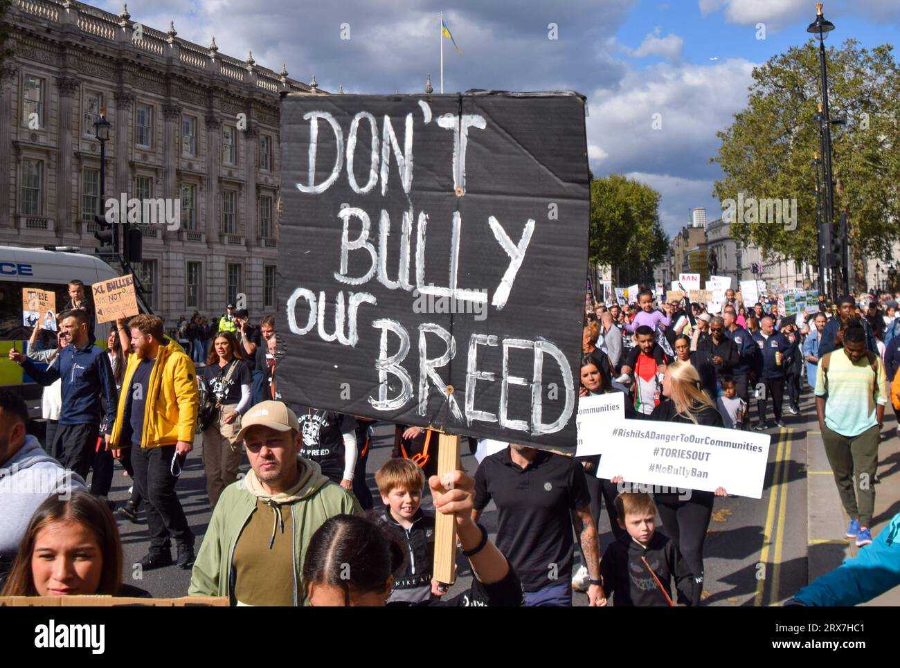 Xl bully owners hi-res stock photography and images - Alamy