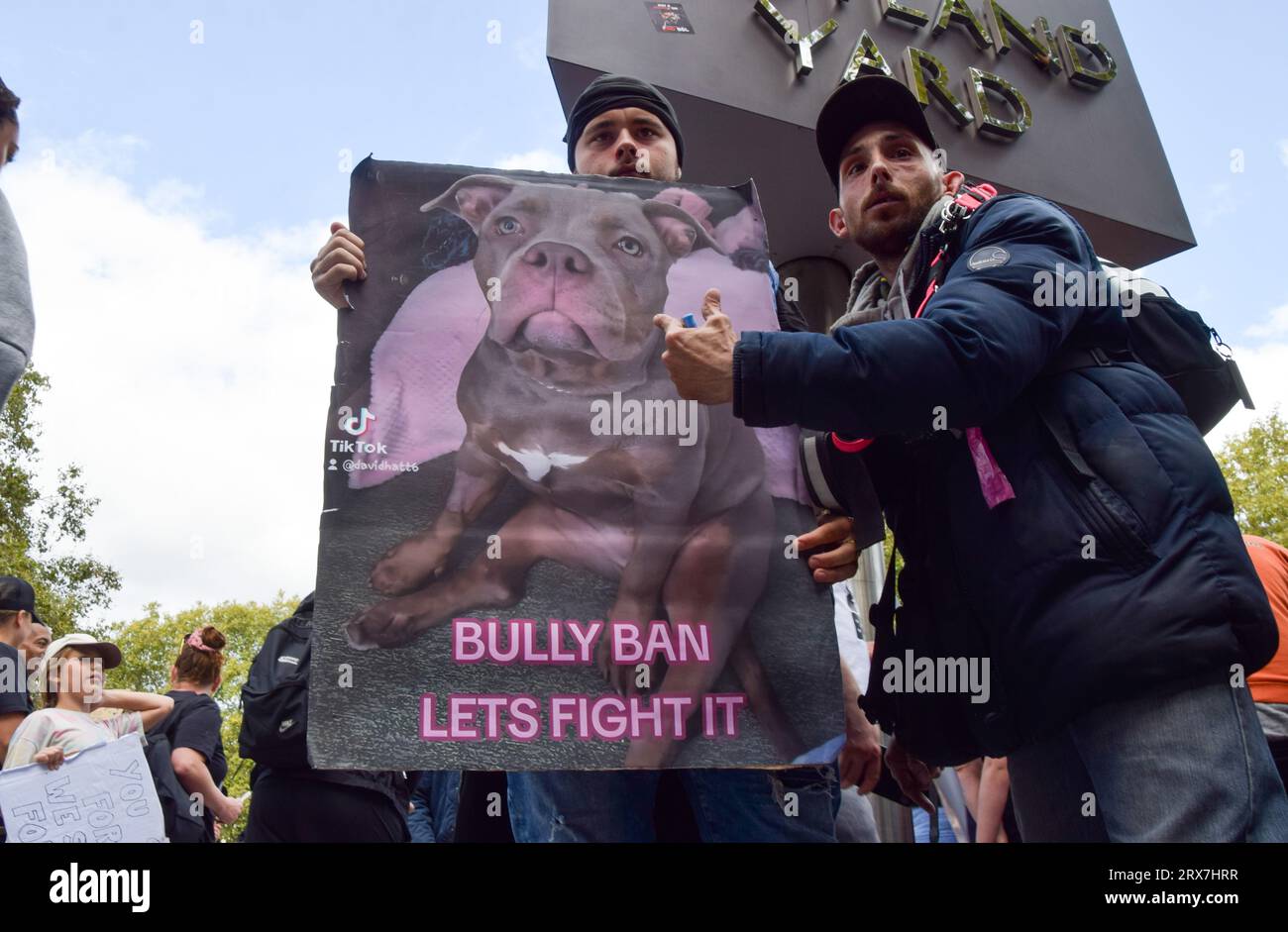 Xl bully owners hi-res stock photography and images - Alamy