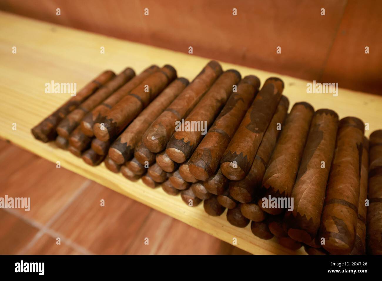 Close up of luxury hand made cigars stacked in a storage box. Tobacco ...