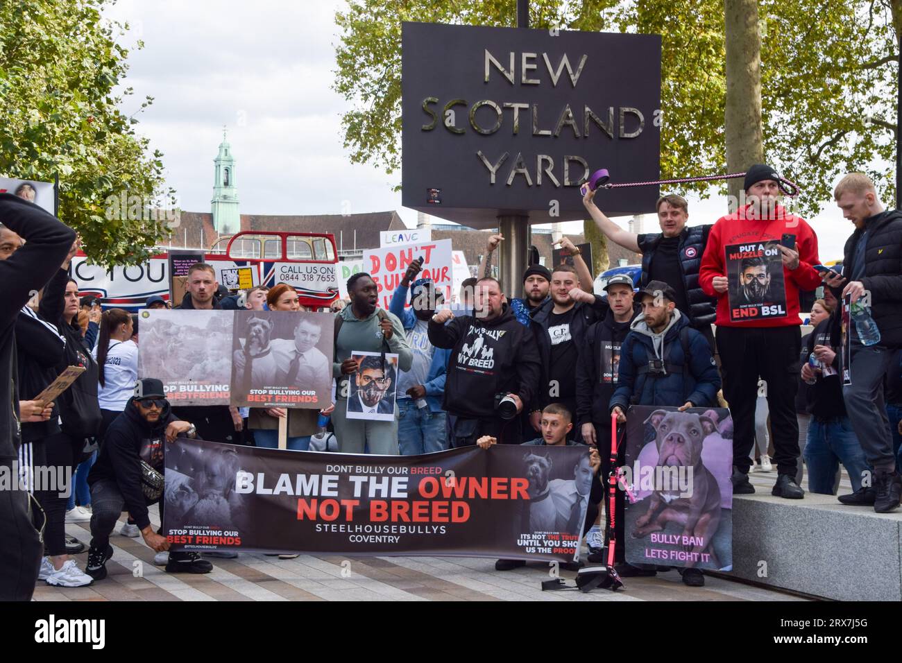 Xl bully owners hi-res stock photography and images - Alamy