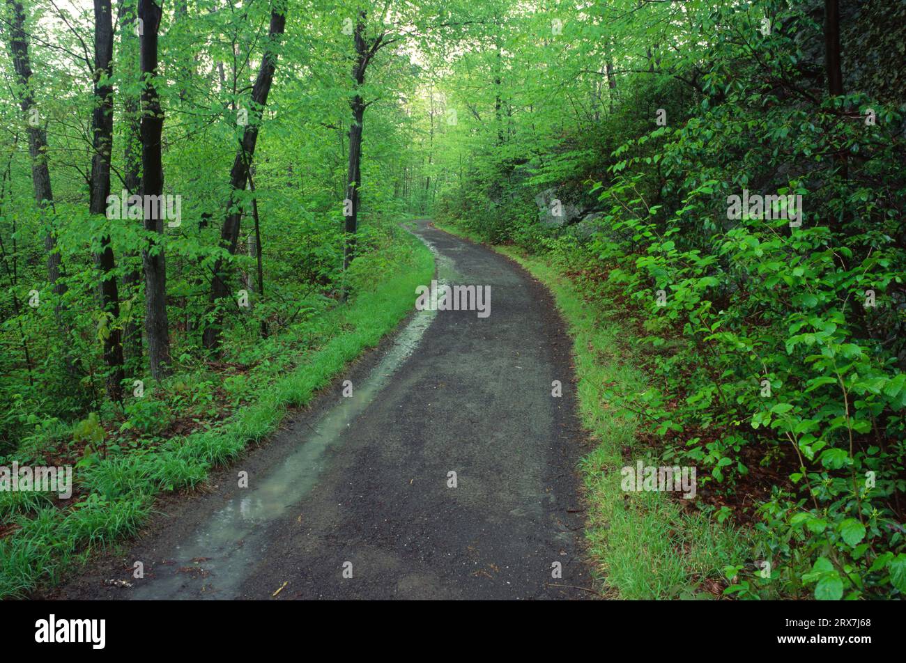 The Trapps Loop carriageway, Mohonk Preserve, New York Stock Photo - Alamy