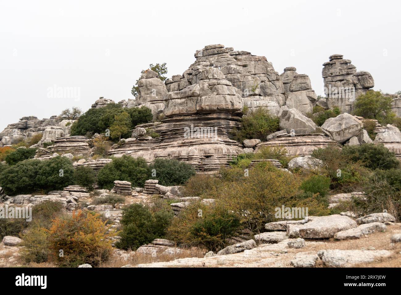 Paisajes de niebla hi-res stock photography and images - Alamy