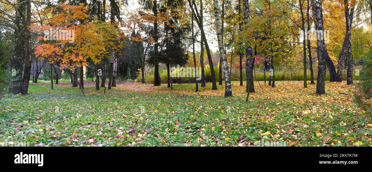 Beautiful scenic panoramic image hi-res stock photography and images ...