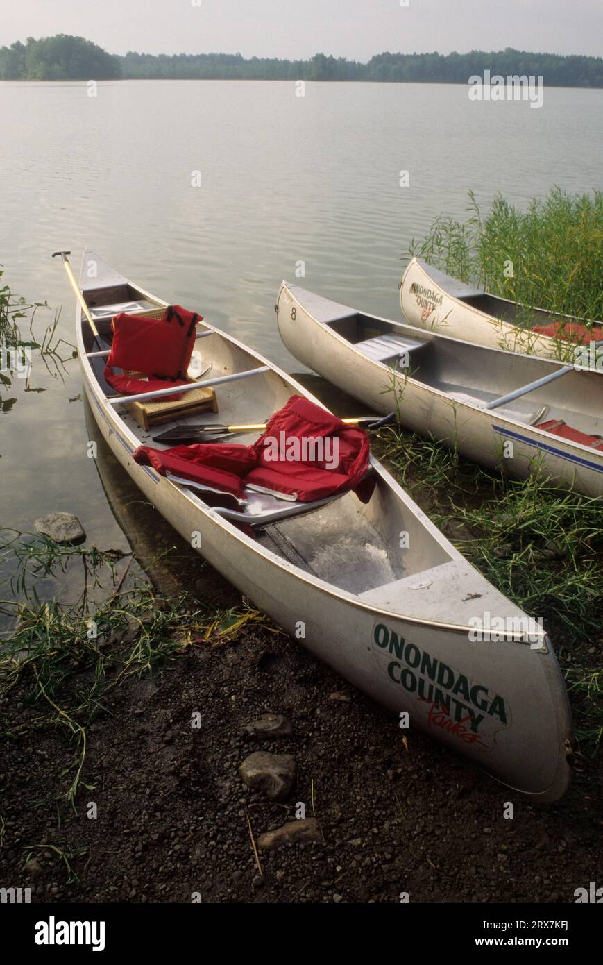 Beaver Lake canoes, Beaver Lake Nature Center, New York Stock Photo - Alamy