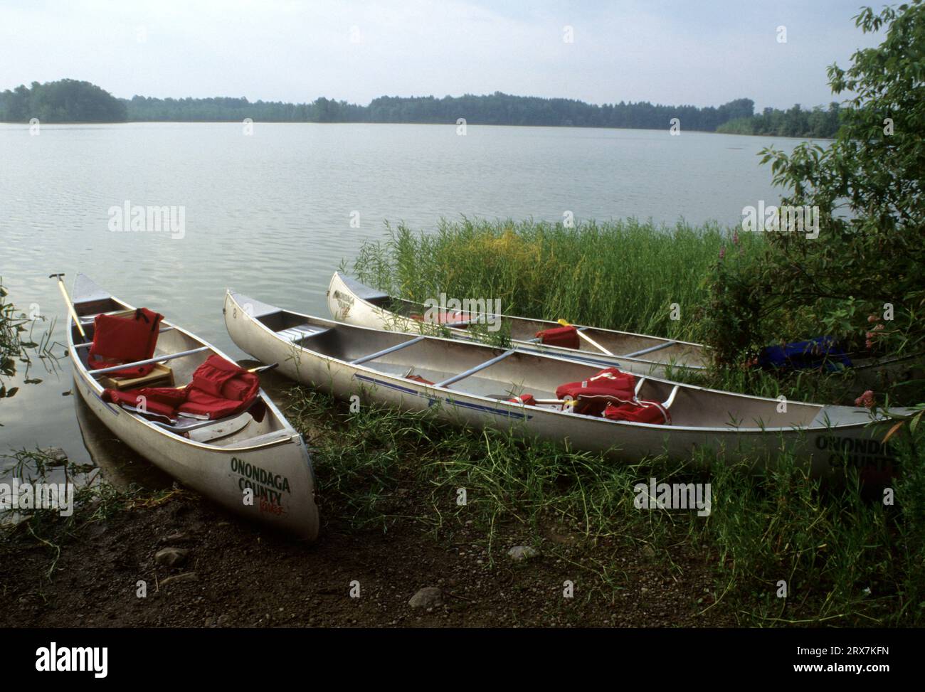Beaver Lake canoes, Beaver Lake Nature Center, New York Stock Photo - Alamy