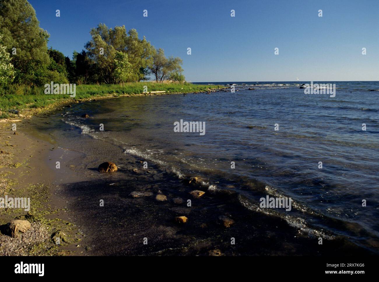 Lake Ontario shoreline, El Dorado Beach Preserve, New York Stock Photo ...