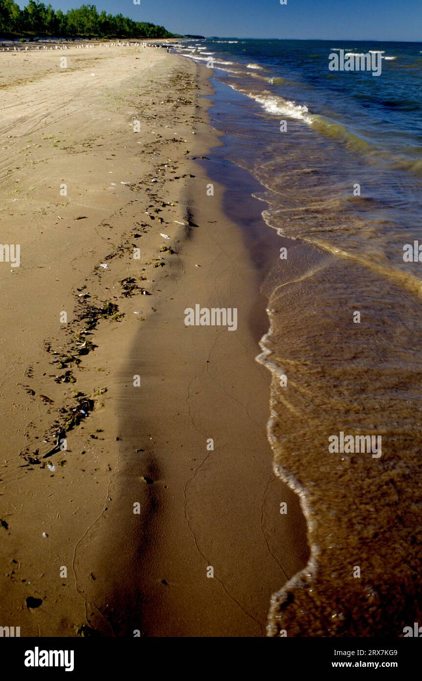 Lakeview wild beach hi-res stock photography and images - Alamy