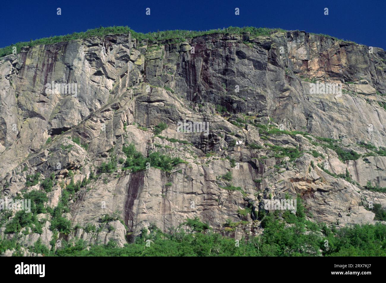 Wallface Cliff, High Peaks Wilderness, Adirondack Forest Preserve, New York Stock Photo - Alamy