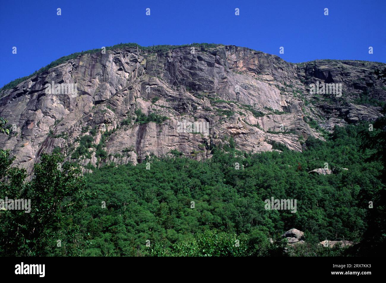 Wallface Cliff, High Peaks Wilderness, Adirondack Forest Preserve, New ...
