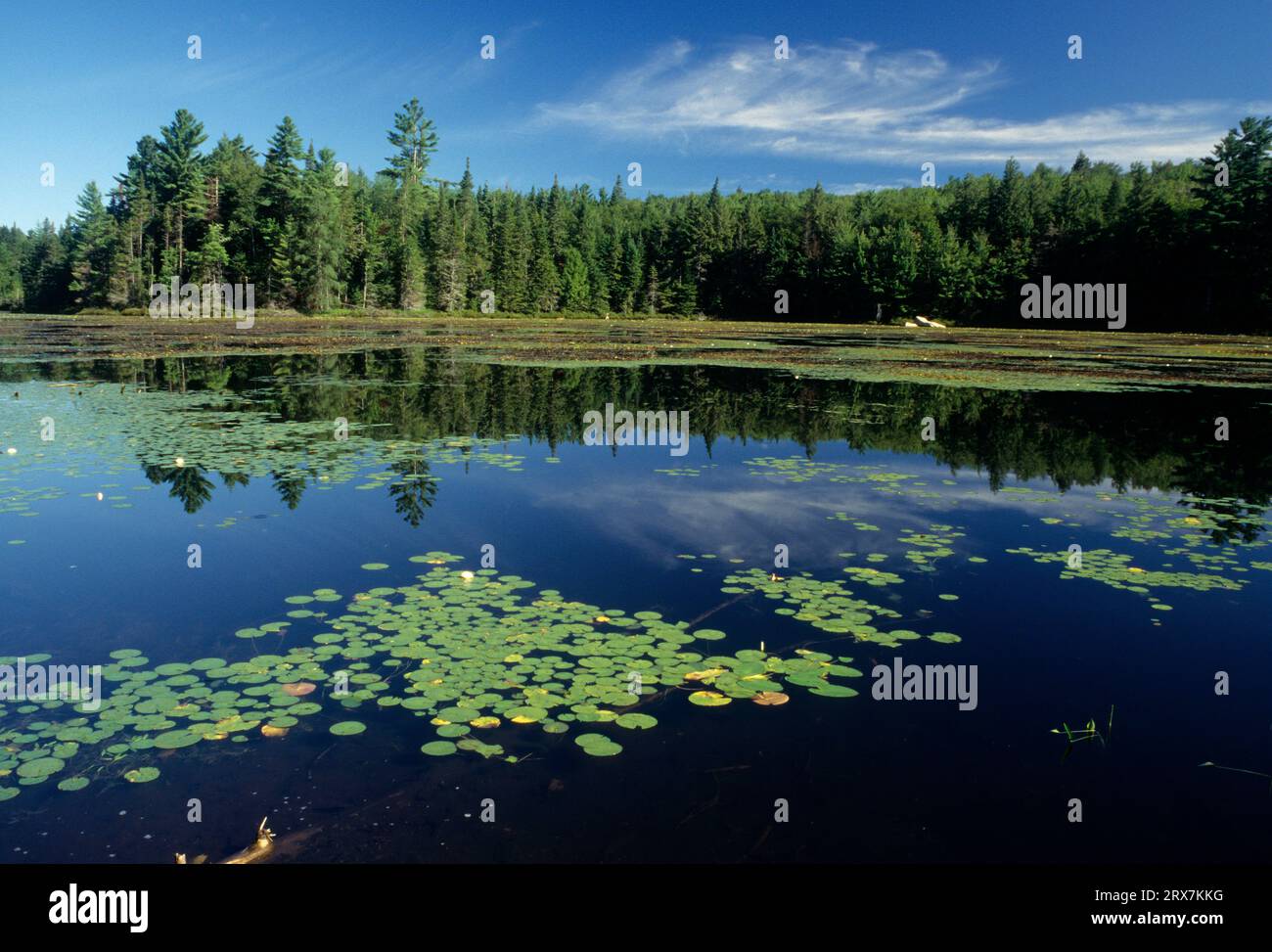 Middle Pond, St Regis Canoe Area, Adirondack Forest Preserve, New York ...
