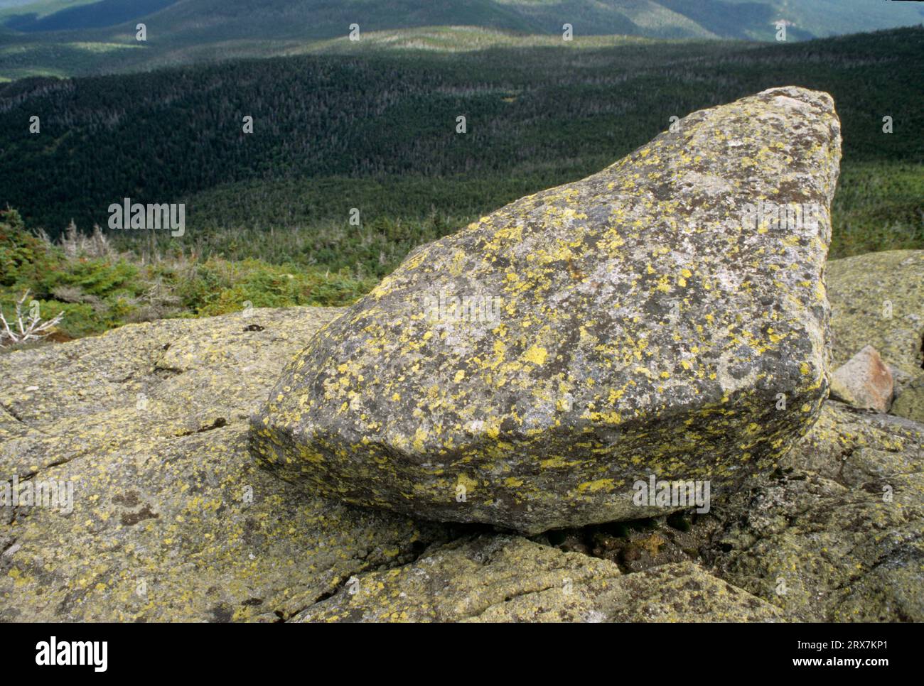 Boulder outcrop on Mt Marcy, High Peaks Wilderness, Adirondack Park ...